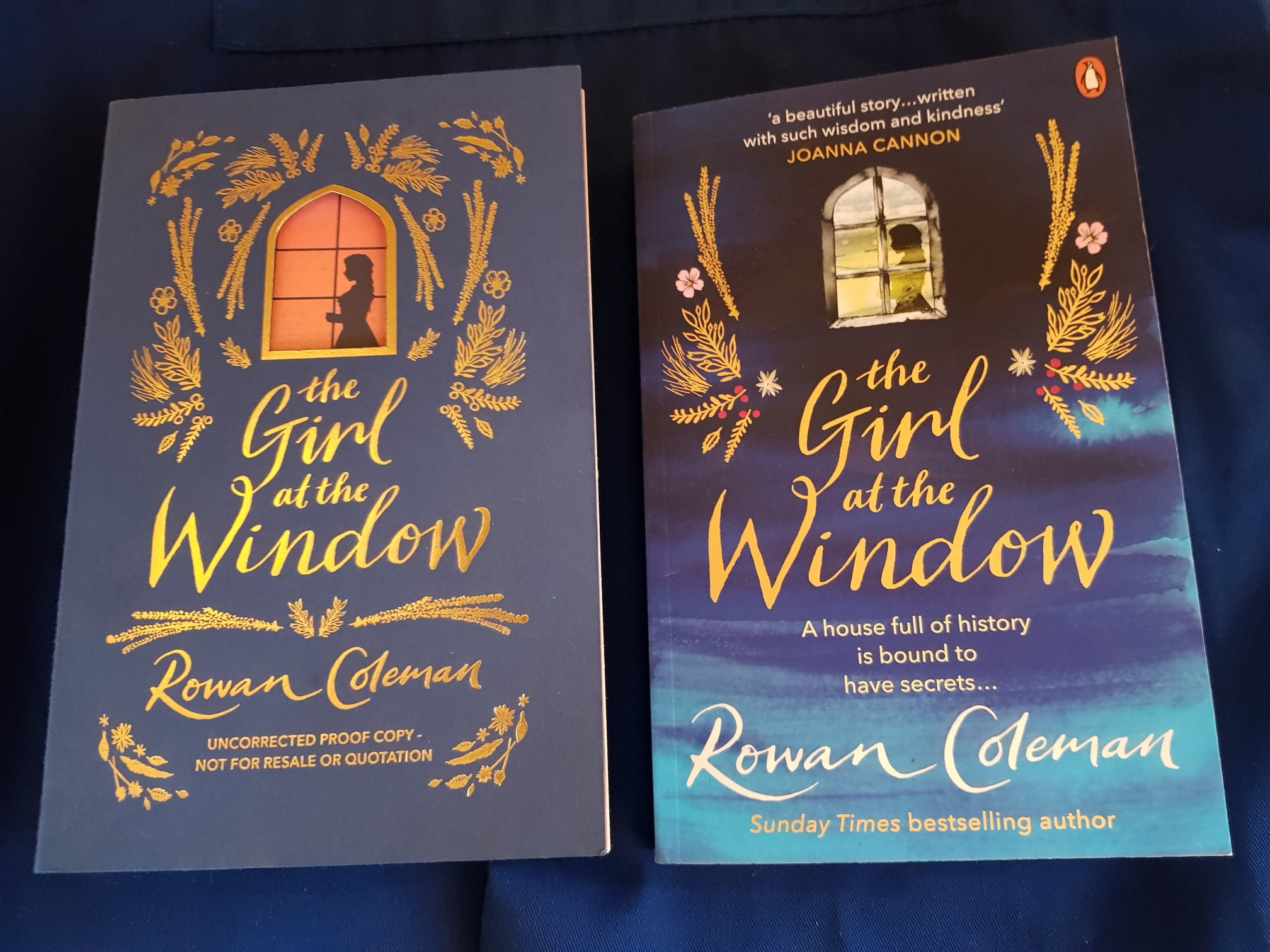 THE GIRL AT THE WINDOW by Rowan Coleman | Blog Tour Review | # ...