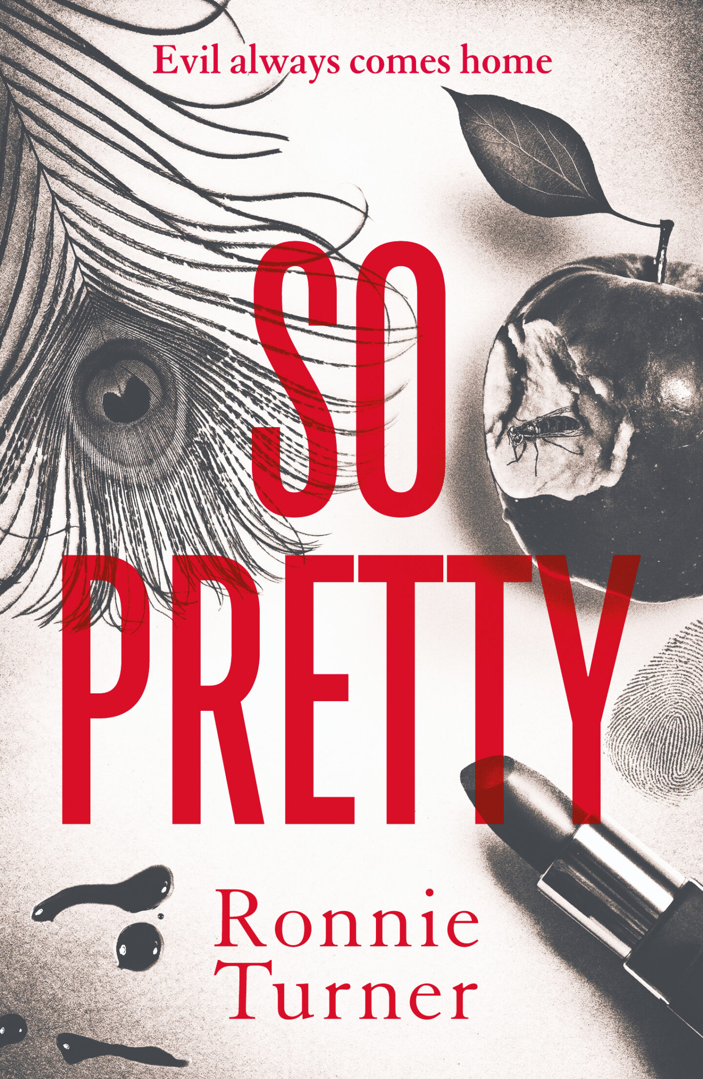 So Pretty - Ronnie Turner | Book Review | #SoPretty @Ronnie__Turner ...