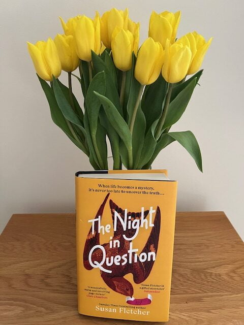 The Night in Question - Susan Fletcher | Book Review | # ...